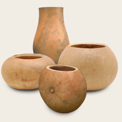 Pre-Cut Gourds - Welburn Gourd Farm