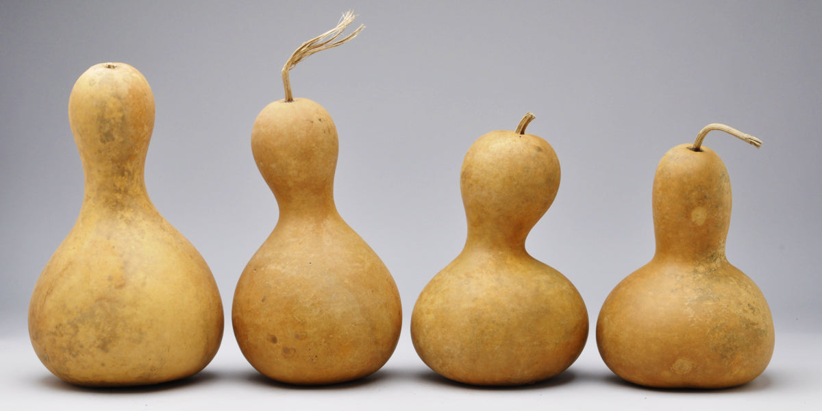 Gourds (by Shape) - Welburn Gourd Farm