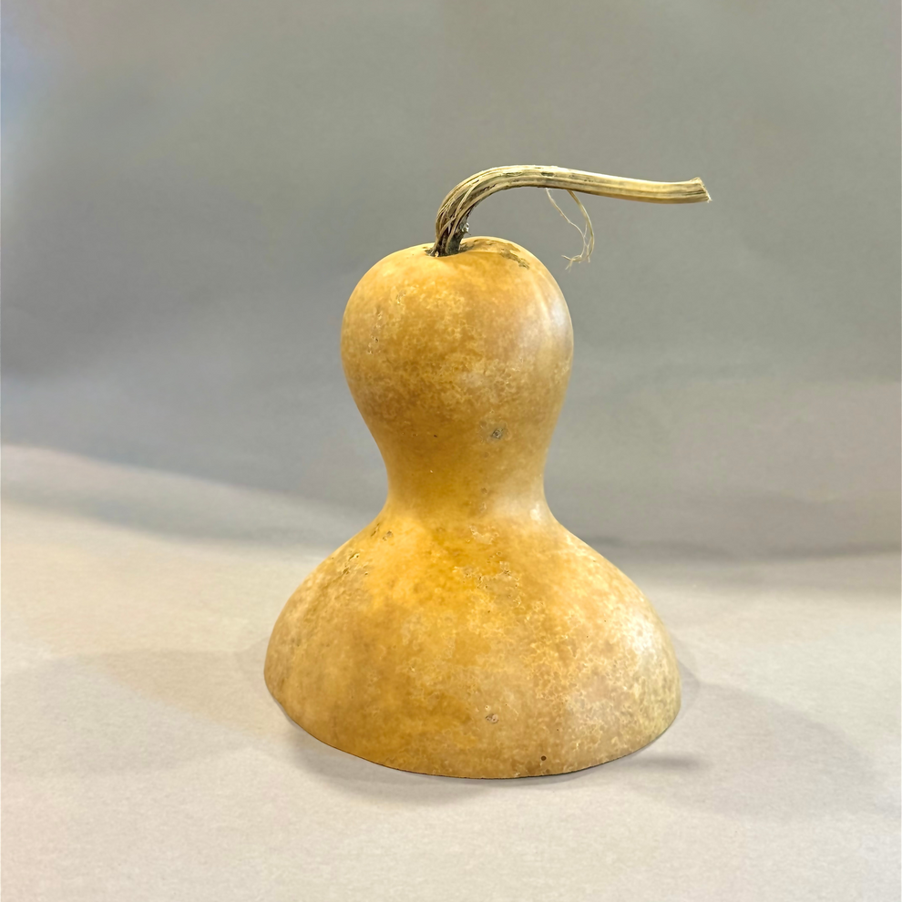 Ghostly Gourds Kit - Welburn Gourd Farm