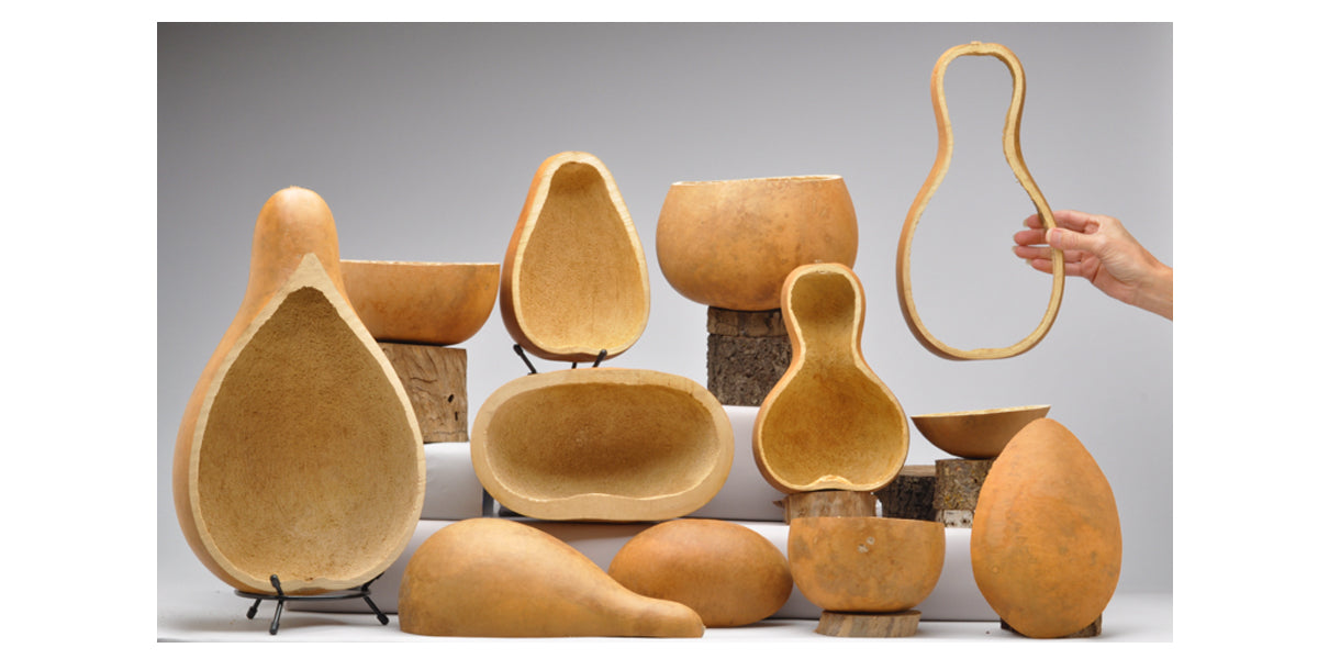 Pre-Cut Surprise Assortment - Welburn Gourd Farm