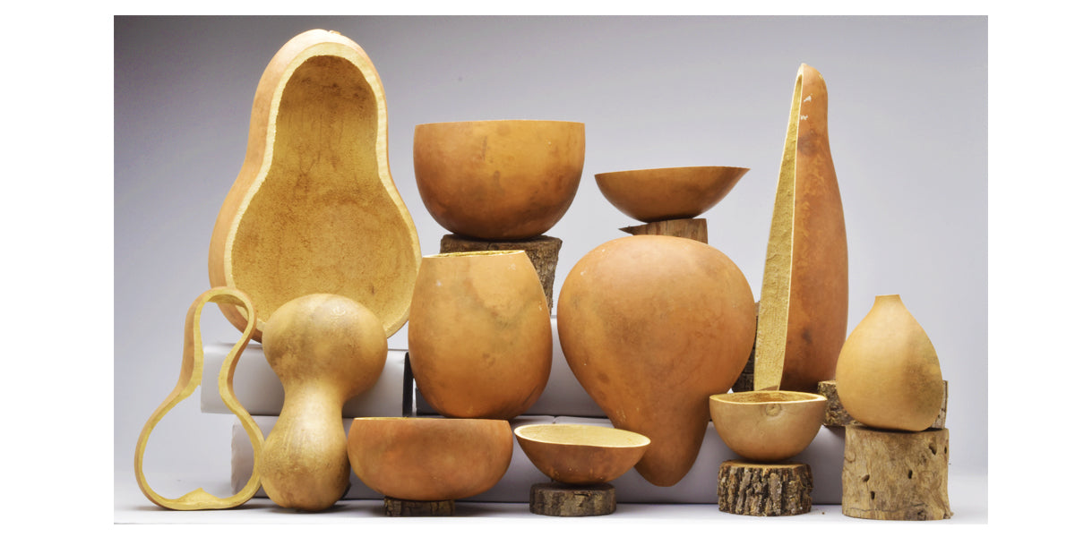Pre-Cut Surprise Assortment - Welburn Gourd Farm