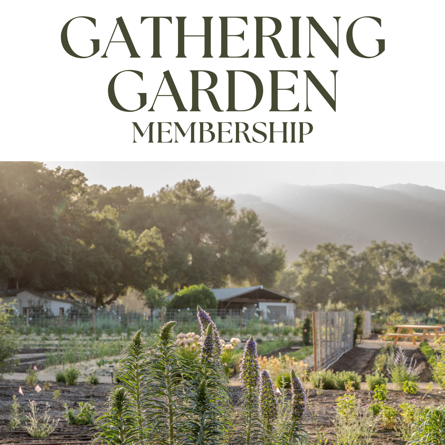 Gathering Garden Membership - Welburn Gourd Farm