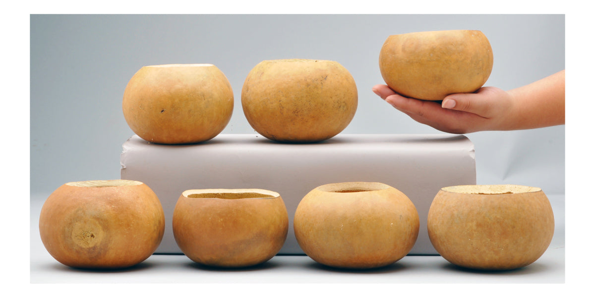 Standard Gourd Bowls - Box of 7 Gourd Bowls (4”-4.9” diameter ...