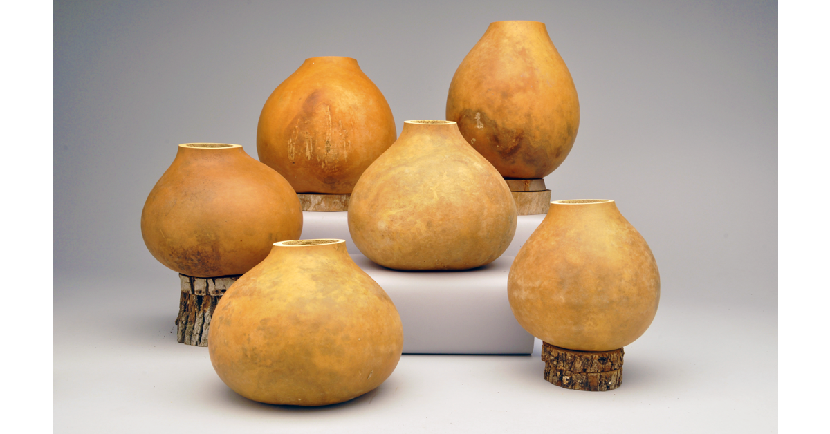 Bargain Quality Gourd Pots - Welburn Gourd Farm