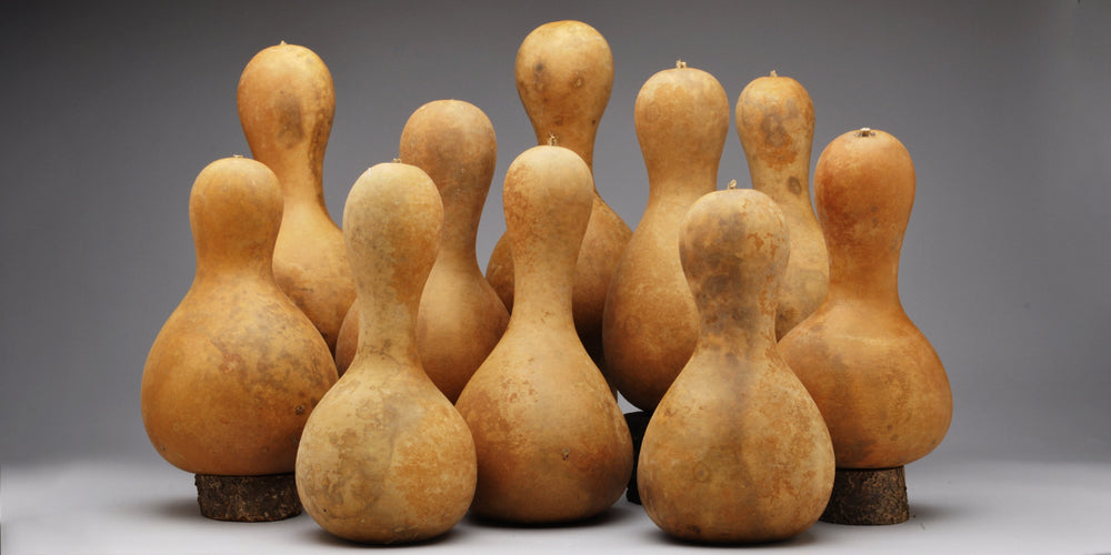 Gourds (by Shape) - Welburn Gourd Farm