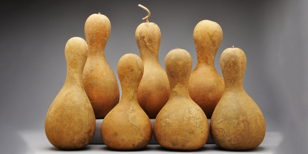 Gourds (by Shape) - Welburn Gourd Farm