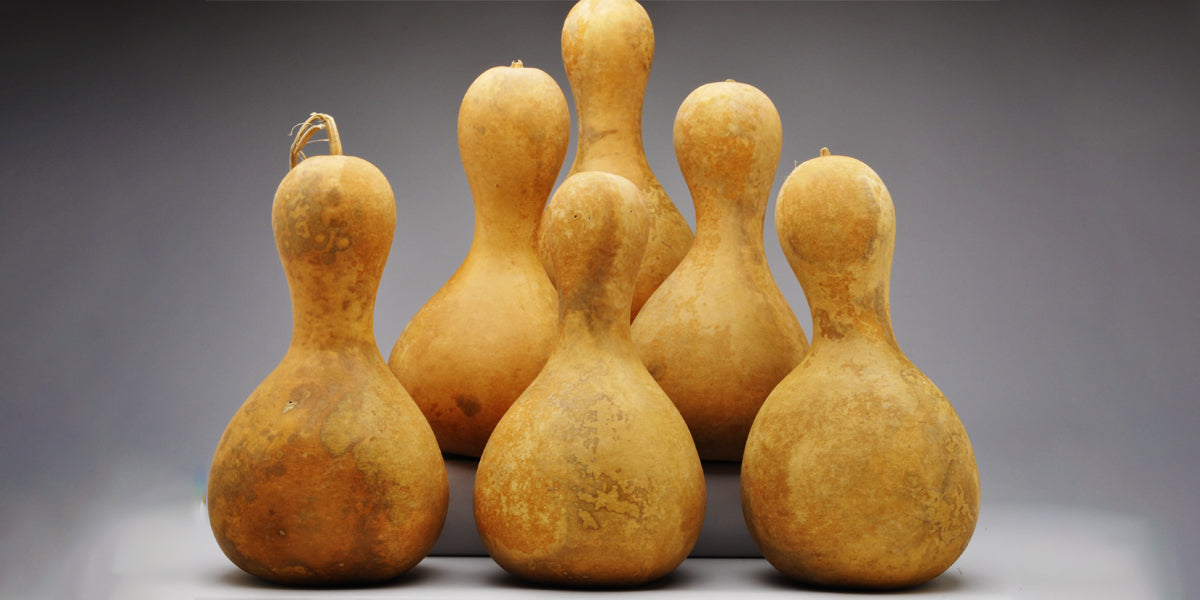 Pre-Boxed Ipu - Welburn Gourd Farm