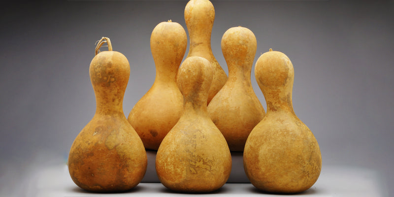 Pre-Boxed Ipu - Welburn Gourd Farm