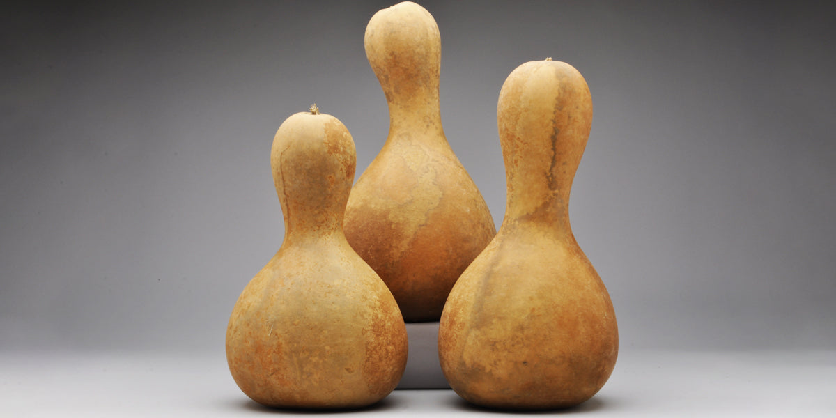 Pre-Boxed Ipu - Welburn Gourd Farm