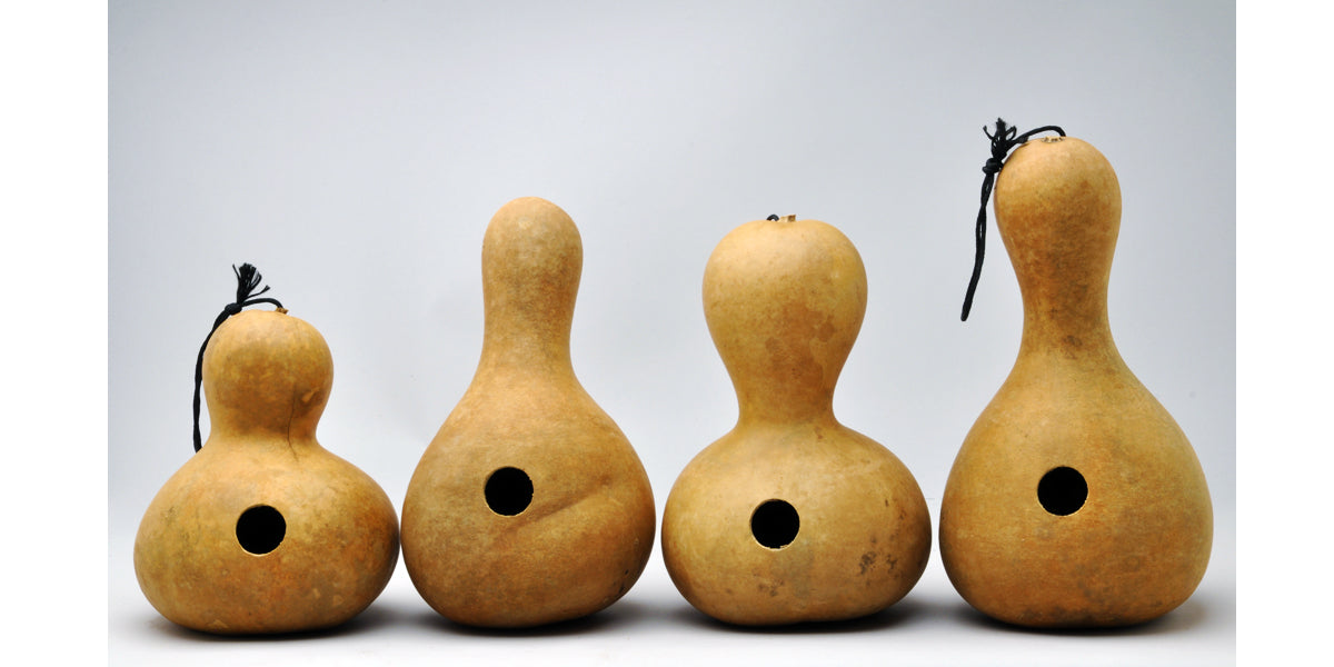 Birdhouse Gourds, Pre-Cut and Craft-Ready - Welburn Gourd Farm