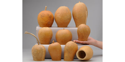Gourds - Welburn Gourd Farm