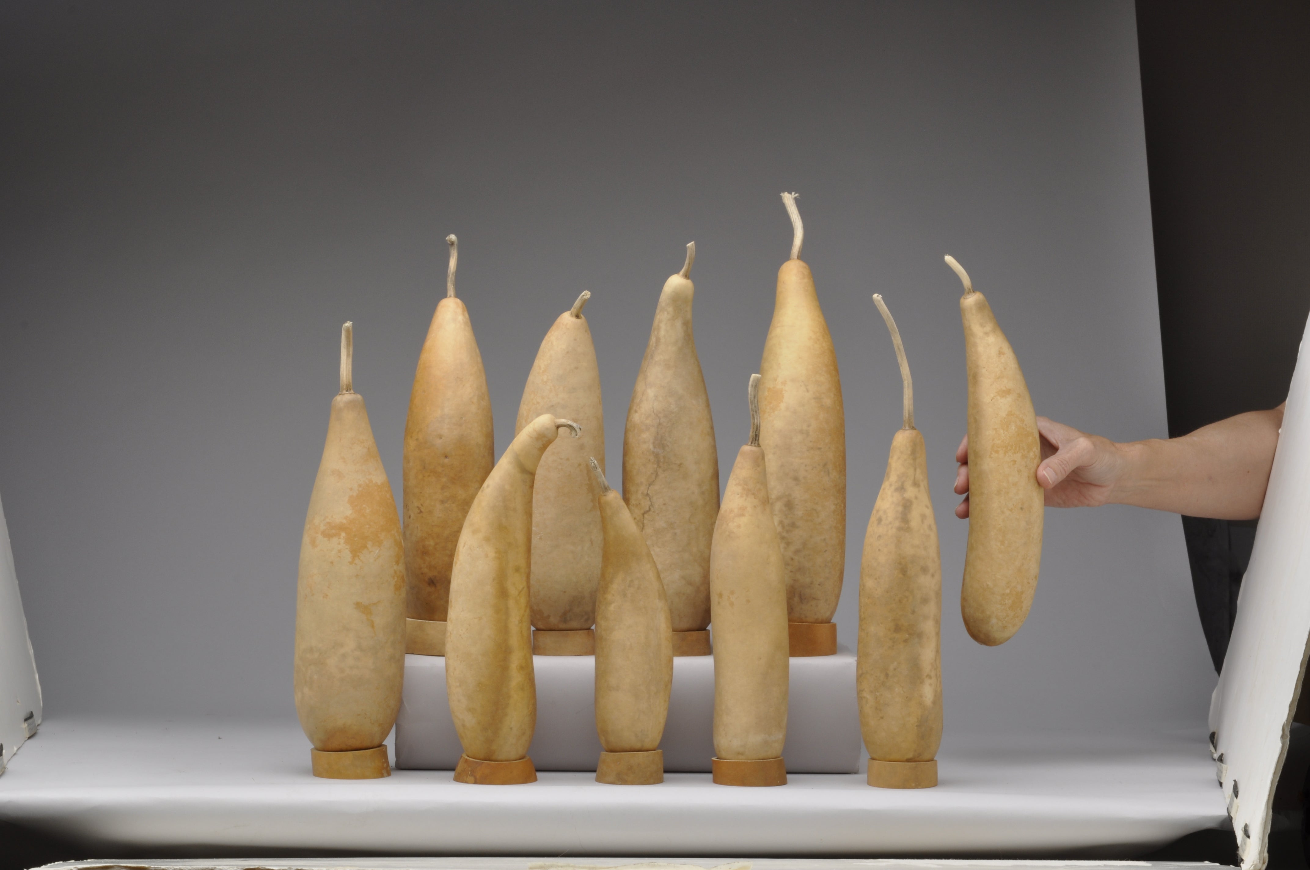 People Gourds - Welburn Gourd Farm