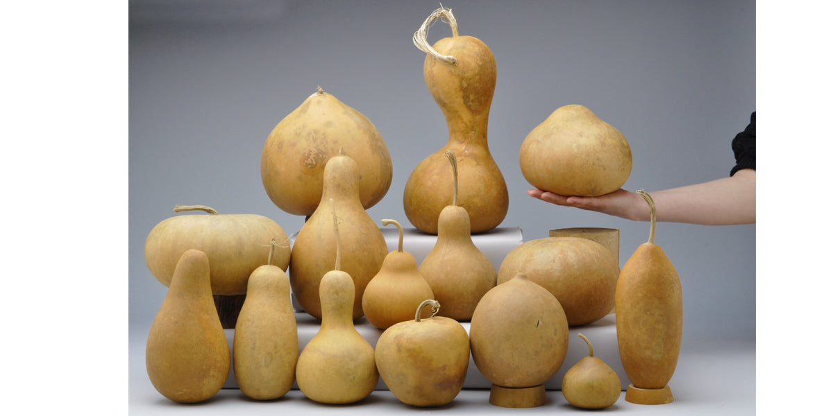 Assortment Gourd Box - Welburn Gourd Farm