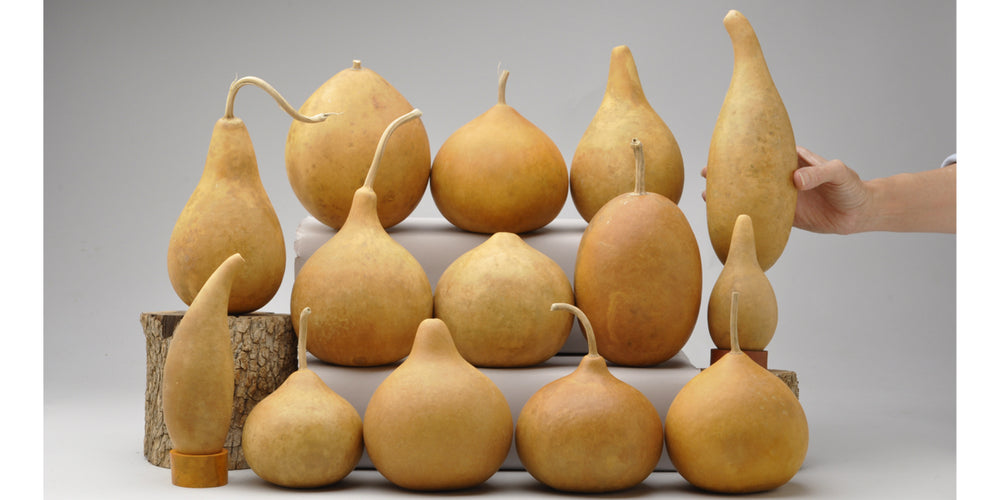 Mini & Jewelry Gourds - Welburn Gourd Farm