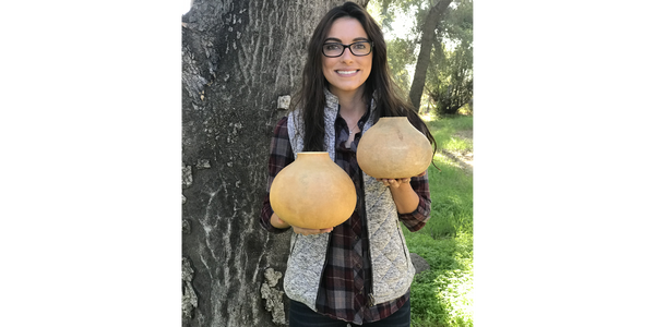 Bargain Quality Gourd Pots - Welburn Gourd Farm