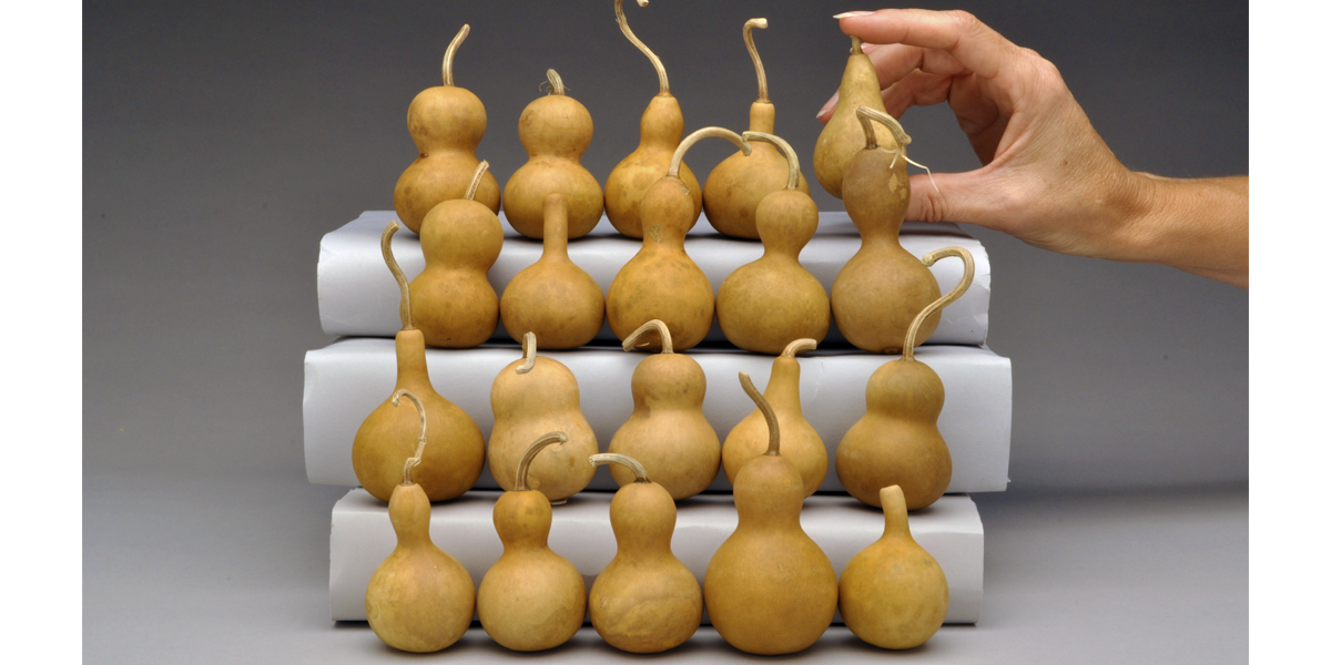 Jewelry Gourds - Welburn Gourd Farm