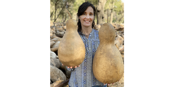 Tall-Body Gourds - Welburn Gourd Farm