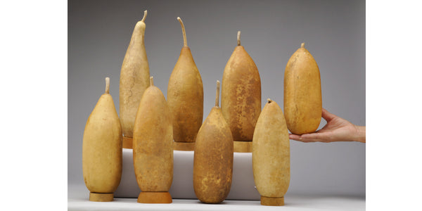 People Gourds - Welburn Gourd Farm