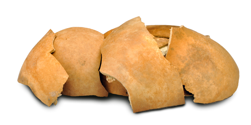 Gourd Practice Pieces - Welburn Gourd Farm